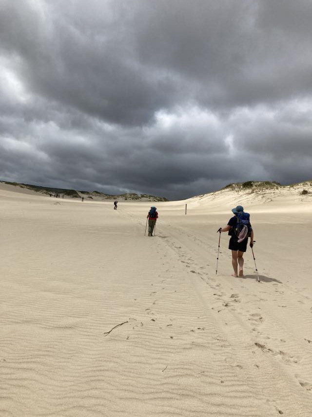 Find yourself on the Walk | Hamilton Spectator