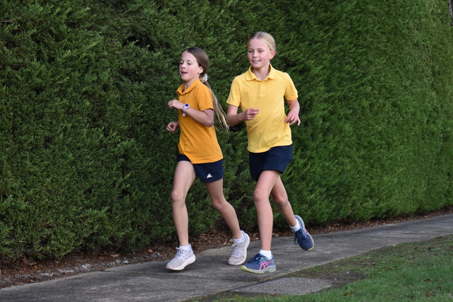 Hamilton North Cross Country fun | Hamilton Spectator