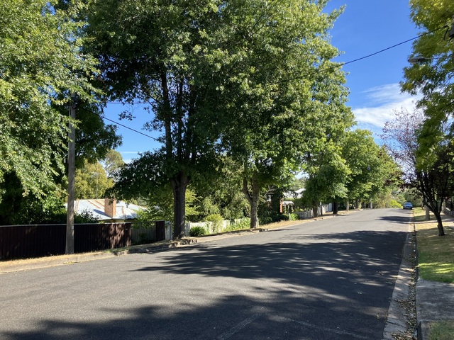 Green tribute to a remarkable woman | Hamilton Spectator